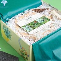China 5 Ply Portable Corrugated Banana Size Fruit Shipping Boxes for sale