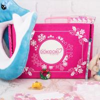 China Custom Color HigH Printing Logo Quality Best Price Sexy Bra Packaging Corrugated Mailer Boxes for sale