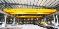 China Industrial Factory Terminal European Overhead Crane With On Demand Tonnage And Customizable Colour for sale