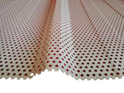China 6mm Aluminum Perforated Metal Sheet 4x8 with 0.5-30mm Hole Sizes for Industrial Filtration and Architectural Applications for sale