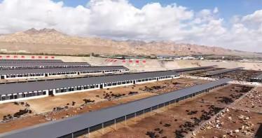 China Prefabricated Light Steel Structure Cow Shed for Dairy Barn Easy Install 15-36C for sale