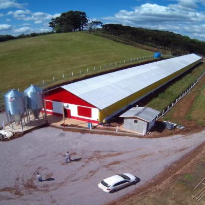 China Custom Steel Structure Broiler House Chicken Warehouse 10000 sqm per Month for sale