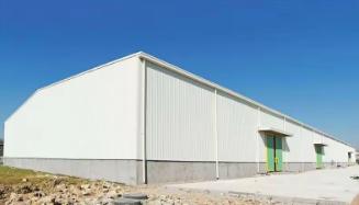 China Pre-Engineered Steel Structure Building for Factory Warehouse Workshop Q355B Q235B for sale