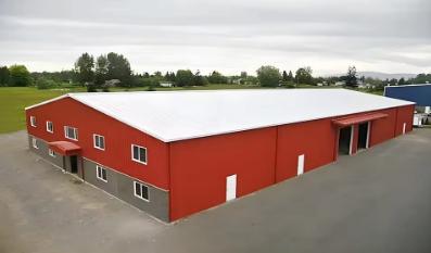 China Pre Engineered Steel Building Aircraft Hangar Warehouse Welded Frame Q235B Q355B Custom 3D Design CE for sale