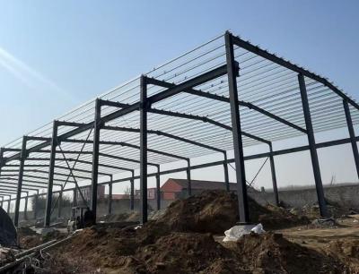 China Large Industrial Steel Structure Warehouse Building for Logistics Center Factory Workshop Storage for sale