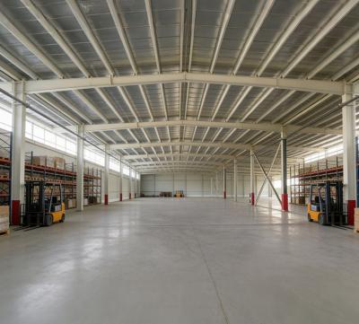 China Fast Assembly Prefabricated Industrial Plant Warehouse Metal Building High Strength Steel Structure Warehouse for sale