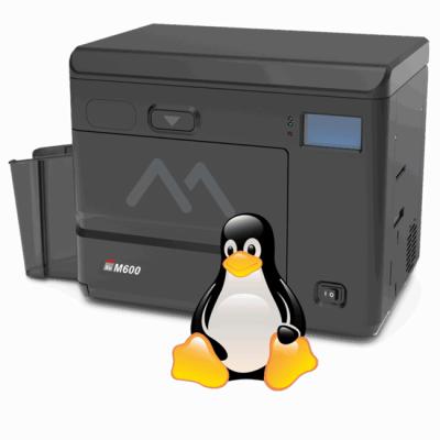 China Matica XID-M600 Desktop ID Card Printer with 600dpi Resolution for Voter Registration Cards at 150 Cards Per Hour and 3 Years Warranty for sale