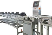 China Precision Weight Grader Machine JZW-100g 300g Capacity Industrial Checkweigher Belt for sale