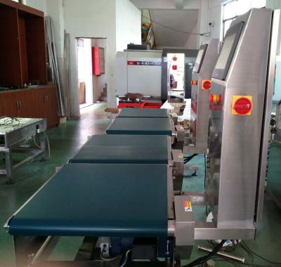 China Heavy Duty Check Weigher Advanced Technology Weight Inspection System Machine JZ-W3kg for sale
