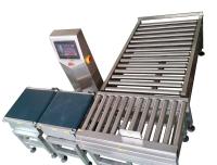 China Encased Stainless Steel Conveyor Checkweigher 25kg Automatic Industrial Weight Checker System for sale