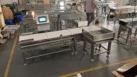 China Industrial Belt Conveyor Checkweigher 30-3000g JZ-W3kg Stainless Steel Automatic Weighing System for sale