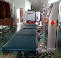 China Industrial Belt Conveyor Checkweigher 5g Accuracy 25kg Capacity JZ-W25kg 304 Stainless Steel for sale