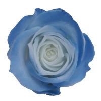 China ISO9001 Preserved Fresh Flowers Gradient Dried Rose Ice Blue for sale