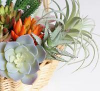 China Oem Small Potted Artificial Flowers Plastic Succulent Plants Decorations for sale