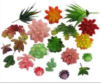 China Oem Small Potted Artificial Flowers Plastic Succulent Plants Decorations for sale