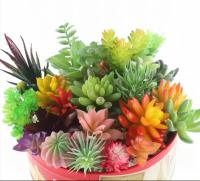 China Oem Small Potted Artificial Flowers Plastic Succulent Plants Decorations for sale