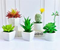 China Plastic Small Potted Artificial Flowers Faux Potted Cactus Plant Odm for sale