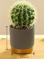 China Plastic Small Potted Artificial Flowers Faux Potted Cactus Plant Odm for sale