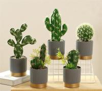 China Plastic Small Potted Artificial Flowers Faux Potted Cactus Plant Odm for sale