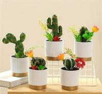 China Plastic Small Potted Artificial Flowers Faux Potted Cactus Plant Odm for sale