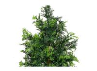 China Nordic Fake Plants And Trees Pines Cypress PE Plastic for sale
