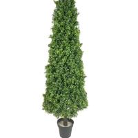 China Nordic Fake Plants And Trees Pines Cypress PE Plastic for sale