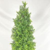 China Nordic Fake Plants And Trees Pines Cypress PE Plastic for sale