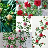 China OEM Plastic Silk Fake Plants And Trees Artificial Italian Cypress Trees for sale