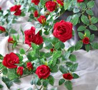 China OEM Plastic Silk Fake Plants And Trees Artificial Italian Cypress Trees for sale
