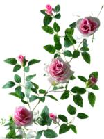 China OEM Plastic Silk Fake Plants And Trees Artificial Italian Cypress Trees for sale
