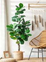 China Real Touch Fake Plants And Trees Fiddle Leaf Fig Tree In Pot for sale
