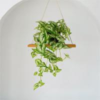 China Green Vine Plastic Outdoor Hanging Plants Fake Hanging Ferns Ivy Wall Decoration for sale