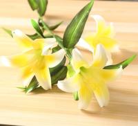 China Personalised Preserved Fresh Flowers Silk Stargazer Lily Home Furnishings for sale