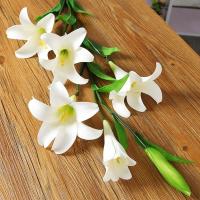 China Personalised Preserved Fresh Flowers Silk Stargazer Lily Home Furnishings for sale