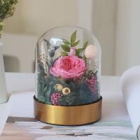 China Gift Preserved Dried Flowers Glass Dome Austin Rose For Valentine'S Day Birthday for sale