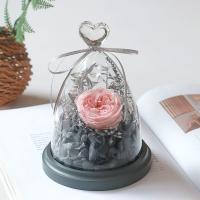 China Gift Preserved Dried Flowers Glass Dome Austin Rose For Valentine'S Day Birthday for sale