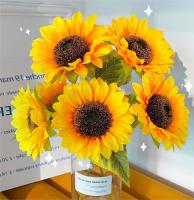 China ODM Preserved Fresh Flowers Dried Sunflower Bouquet Ornaments for sale