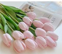 China OEM Wedding Dry Tulip Flowers Real Dried Flower Arrangements for sale