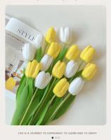 China OEM Wedding Dry Tulip Flowers Real Dried Flower Arrangements for sale