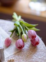 China Moisturizing Immortal Preserved Fresh Flowers Cut Tulips Arrangements for sale