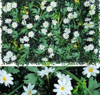 China Outdoor Aesthetics Artificial Daisy Bouquet Fake Floral Wall Panels Plant for sale