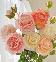 China Flexible Silk Peony Artificial Silk Flowers Champagne Pink White for sale