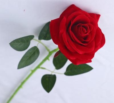 China Red Roses Artificial Silk Flowers Ornaments Living Room Decorations Oem for sale