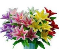 China Customized Plastic Artificial Calla Lily Flowers Christmas Arrangements for sale