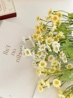 China OEM Silk Daisy Artificial Plastic Flowers Yellow White Orange Pink For Supermarket for sale