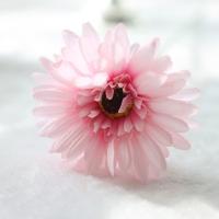 China Commercial Gerbera Daisies Artificial Plastic Flowers Fresh Pastoral Style for sale