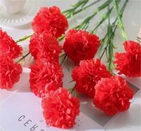 China ODM Fake Holiday Flowers Artificial Carnation Bouquet for sale