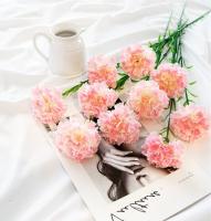 China Pink Red Champagne Artificial Carnations Bulk For Mother's Day for sale