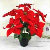 China 45cm 50cm Fake Holiday Flowers Artificial Christmas Poinsettias Lifelike Appearance for sale
