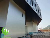 China Powder Coated Perforated Aluminum Cladding Panel with Customizable Sizes for Exterior Facade for sale